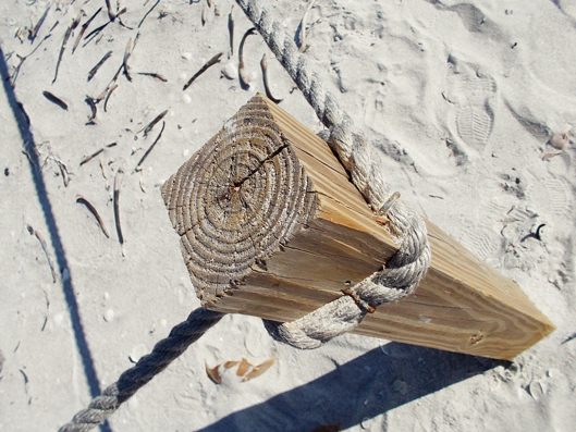Sea Turtle Shell Art on the Beach… | Pride in Photos