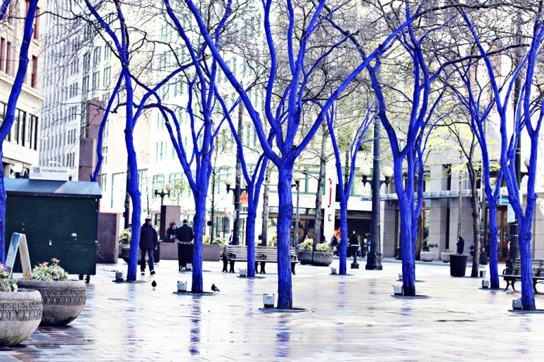 Have You Ever Seen Electric Blue Trees? | Pride in Photos